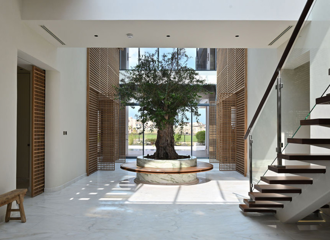 Nasayem_6 - A Work of Substance